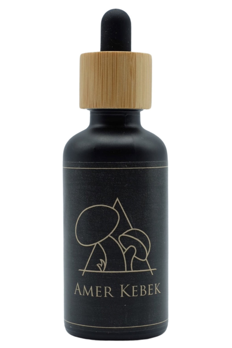 Amer Kebek - Mushroom Bitters – Vine Arts